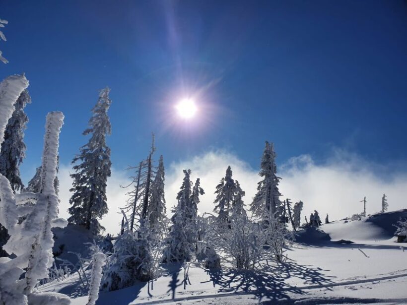 Mount Arber: Snowshoeing in the Bavarian Forest Guided Tour - FAQ