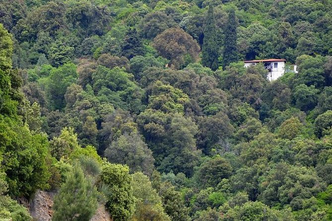 Mount Athos Full Day Cruise from Thessaloniki - An In-Depth Look at the Mount Athos Full Day Cruise
