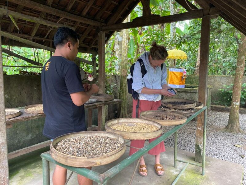Mount Batur 4WD Jeep Sunrise Tour kintamani - Final Thoughts: Who Will Love This Tour?