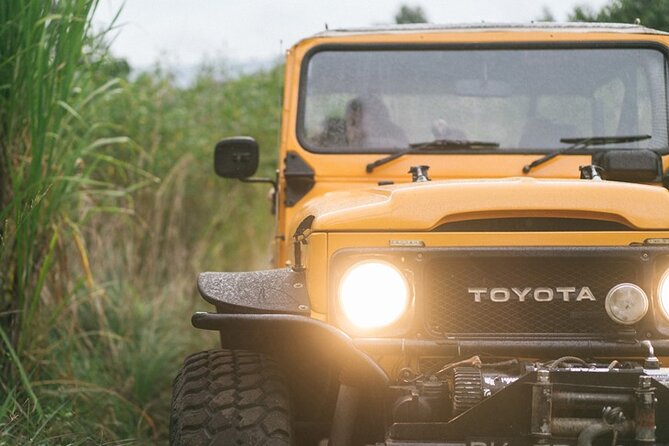 Mount Batur Black Lava Jeep Tour with Pickup - Who Will Love This Tour?