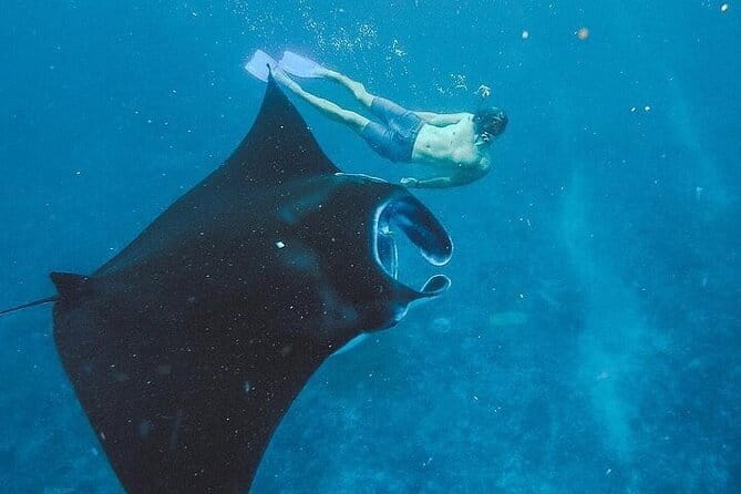 Mount Batur Sunrise Hike and Hot Spring Tour All inclusive - Final Word