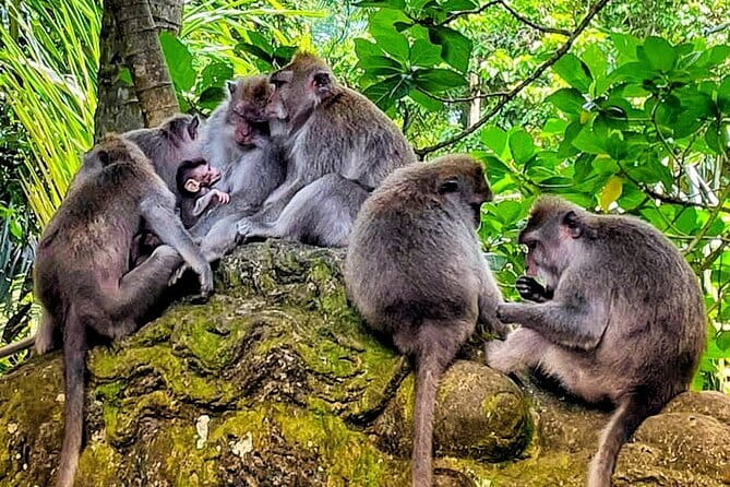 Mount Batur Sunrise Jeep Adventure - Frequently Asked Questions