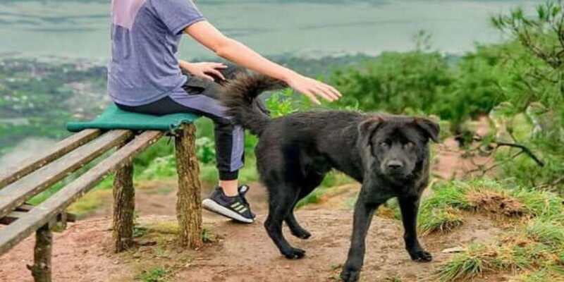 Mount Batur Sunrise Trekking - FAQ