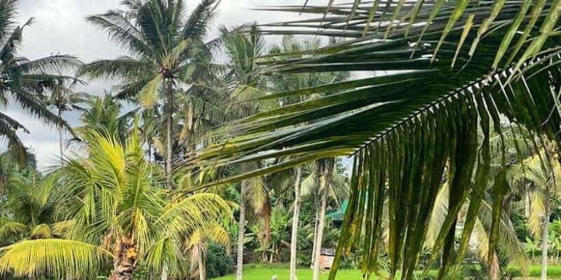 Mount Batur Sunrise Trekking Combine Optional Tour Packages - The Itinerary Breakdown: What You Can Expect