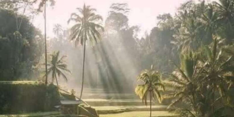 Mount Batur Sunrise Trekking Combine Optional Tour Packages - The Pros and Cons