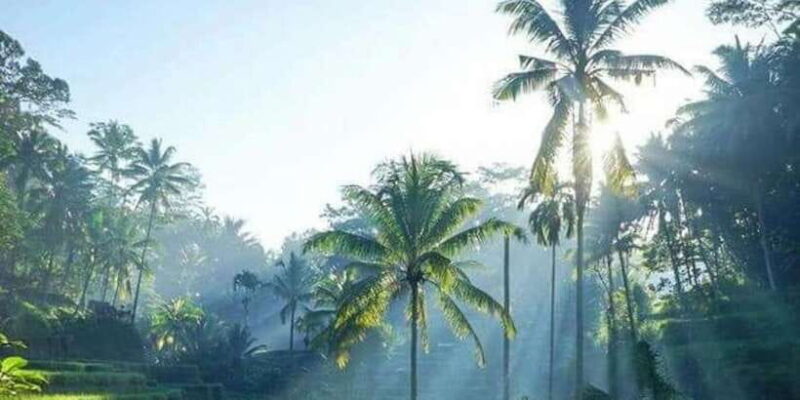Mount Batur Sunrise Trekking Combine Optional Tour Packages - Who Would Love This Tour?
