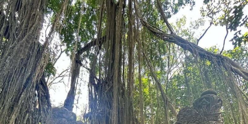 Mount Batur Sunrise Trekking Combine Optional Tour Packages - Final Thoughts