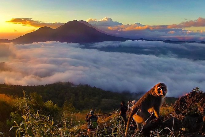 Mount Batur Sunrise Trekking With Breakfas - Summary: Who Will Love This Tour?