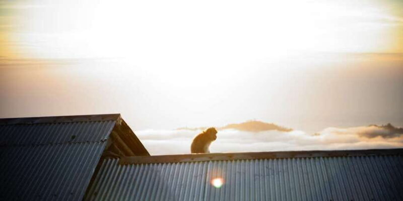 Mount Batur : Sunrise Trekking With Hotel Transfer - FAQs