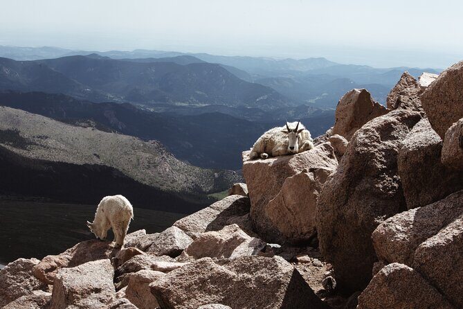 Mount Blue Sky Alpine Summit & Red Rocks Tour from Denver - FAQ