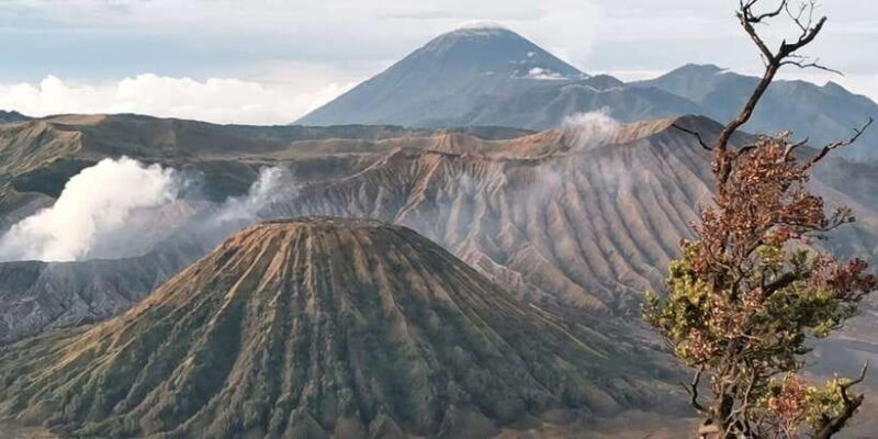 Mount Bromo Sunrise 1 Day Private Tour From Surabaya/Malang - Cost and Value
