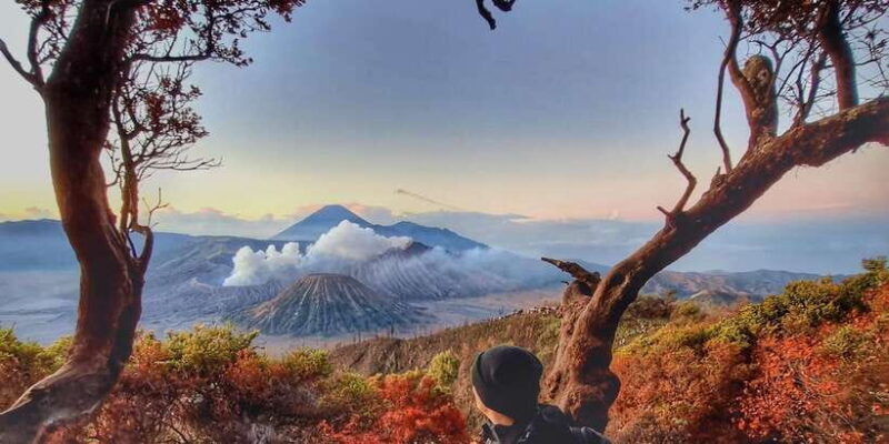 Mount Bromo Sunrise and Madakaripura Waterfall 1 Day Tour - Climbing Mount Bromo