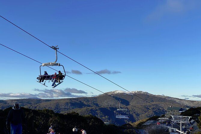 Mount Buller 1 Day Guided Tour - The Sum Up