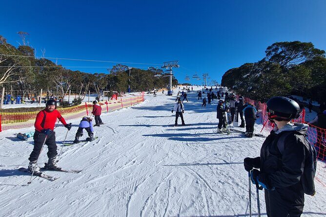 Mount Buller Day Tour from Melbourne - An Honest Look at the Itinerary