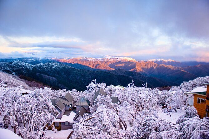 Mount Buller Sightseeing Tour - Returning to Mansfield and Melbourne