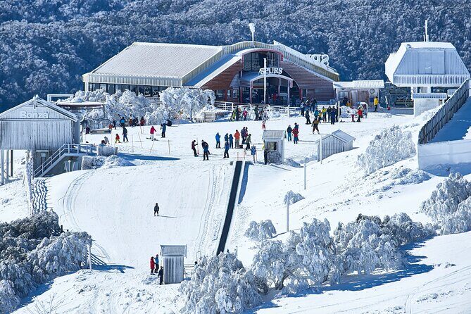 Mount Buller Sightseeing Tour - Authentic Experiences and Traveler Feedback