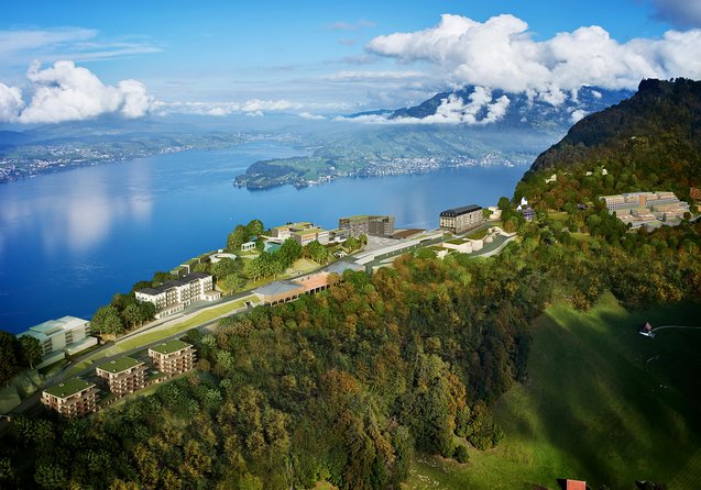 Mount Bürgenstock Independent Tour from Lucerne - Who Will Enjoy This Tour?