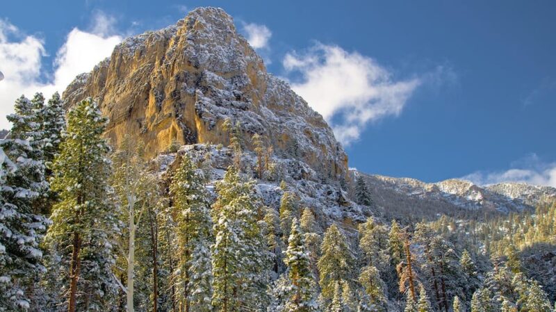Mount Charleston Driving Adventure: Escape to Nature - The Scenic Drive and Photo Opportunities