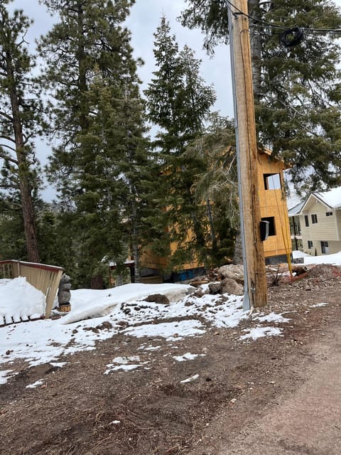 Mount Charleston Driving Adventure: Escape to Nature - Analyzing the Value