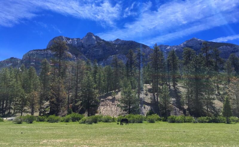Mount Charleston Driving Adventure: Escape to Nature - Who Should Consider This Tour?