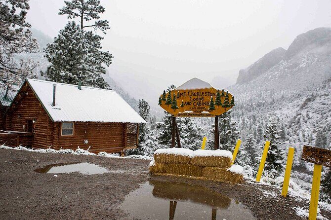 Mount Charleston Tour - What’s the Tour All About?