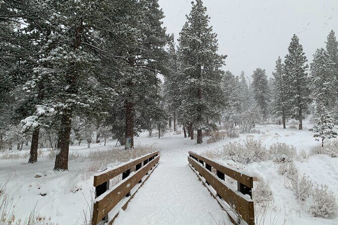 Mount Charleston Tour - The Itinerary, Step-by-Step