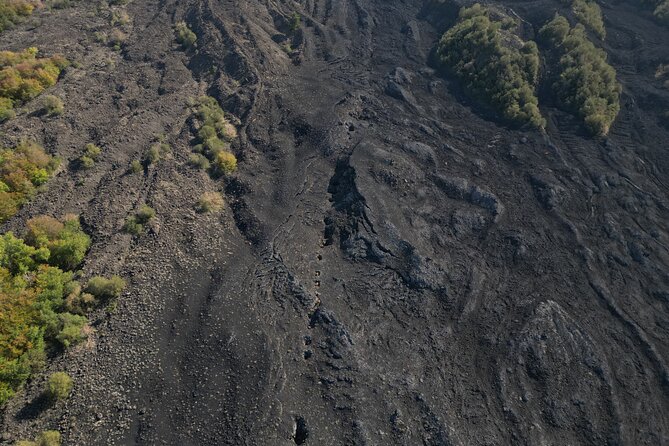 Mount Etna: All Around on E-Bike - Understanding Etna: Insight Into Local Wildlife and Geology