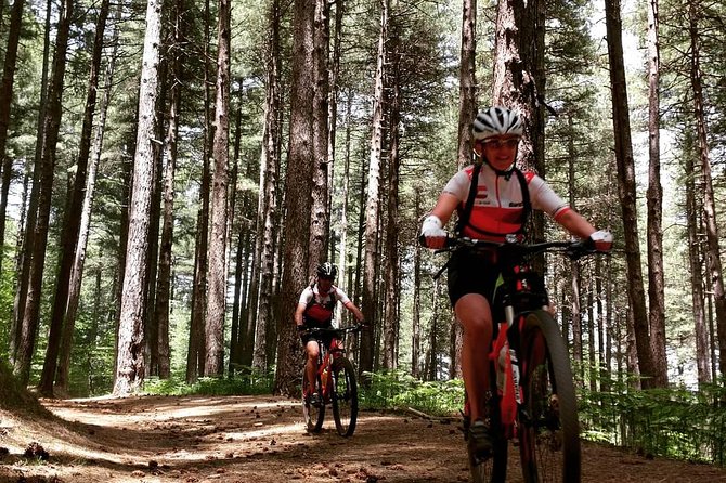 Mount Etna E-Bike Half-Day Tour - Preparing for Your E-Bike Journey to Rifugio Citelli