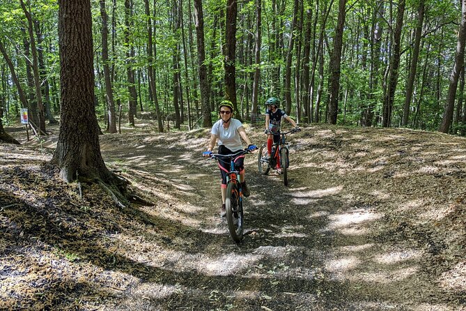 Mount Etna E-Bike Half-Day Tour - How to Make the Most of Your Mt. Etna E-Bike Tour