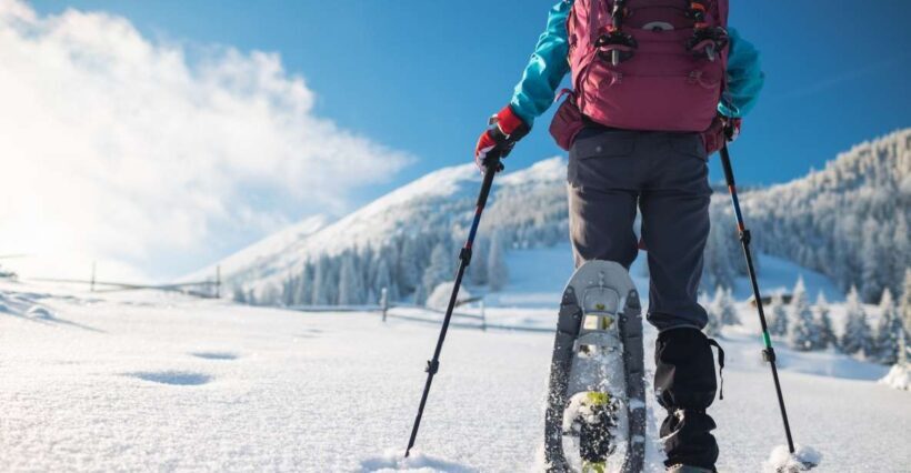 Mount Etna: Guided Snowshoeing Trekking Tour - Key Points