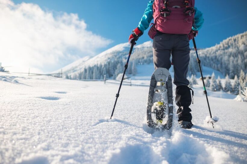 Mount Etna: Guided Snowshoeing Trekking Tour - Who Should Consider This Tour?