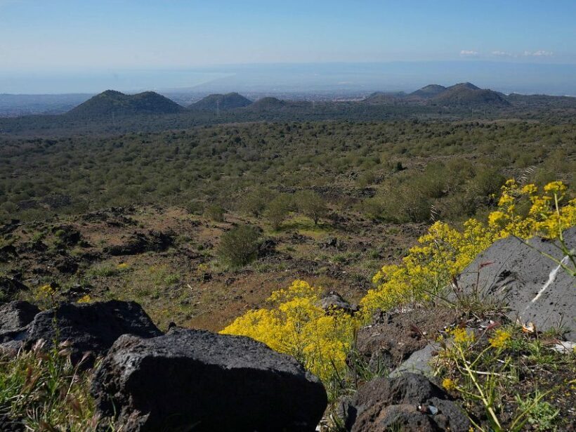 Mount Etna: Half-day Morning Jeep Tour - Why This Tour Represents Good Value