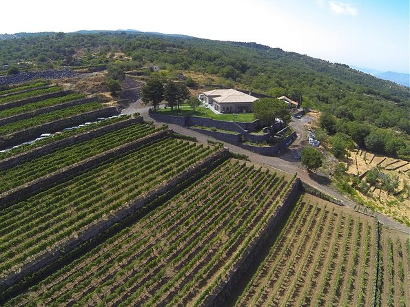 Mount Etna, Lunch in a Winery and Taormina Private Day-Trip from Messina - FAQ