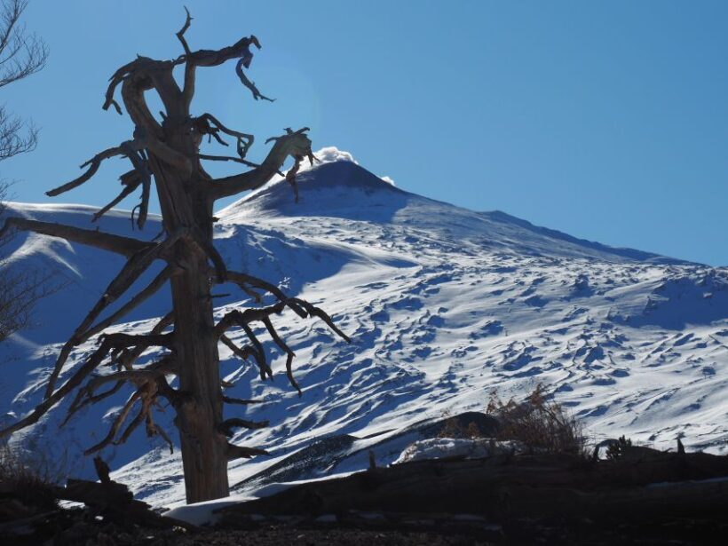 Mount Etna: Trek to the Craters of The 2002 Eruption - Who Should Consider This Tour?