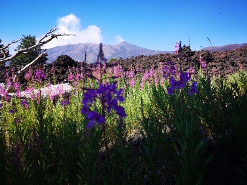Mount Etna: Trek to the Craters of The 2002 Eruption - Final Thoughts