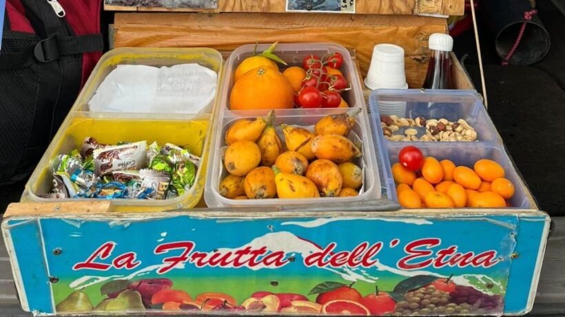 Mount Etna: trek with vintage car, tasting sicilian produtcs - Final Words