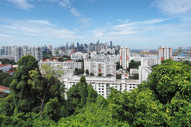 Mount Faber, Henderson Waves and Southern Ridges Tour - What to Expect at Each Stop