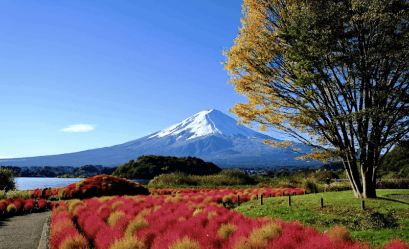 Mount Fuji and Hakone Customize Private Tour English Guide - Pickup and Drop-off Locations