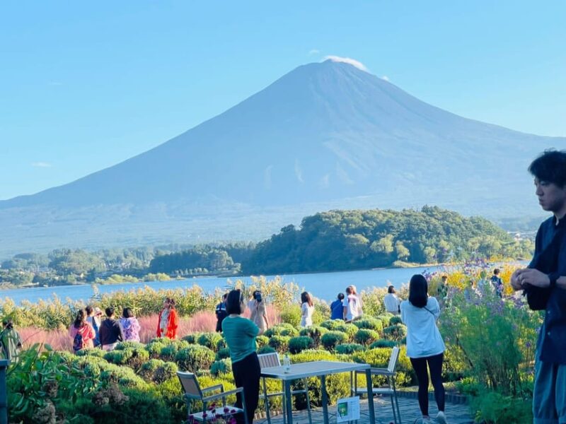 Mount Fuji and Hakone Customized Private Tour - Tour Inclusions