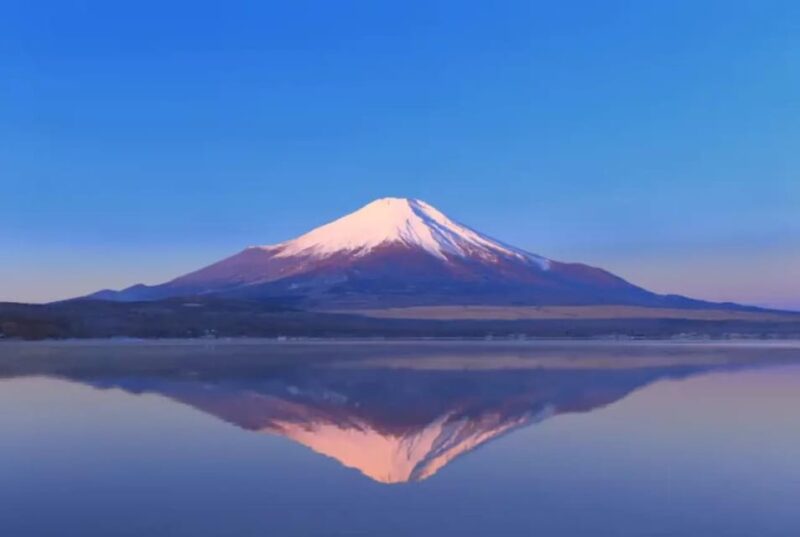 Mount Fuji and Hakone Day Tour With English Speaking Drivers - Key Points