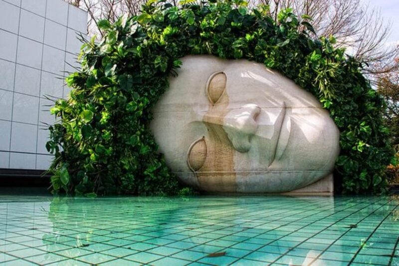 Mount Fuji and Hakone Day Tour With English Speaking Drivers - Highlights and Experience