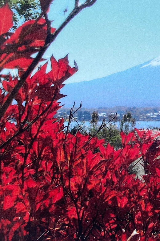 Mount fuji and Hakone day tour with English speaking guide - FAQs