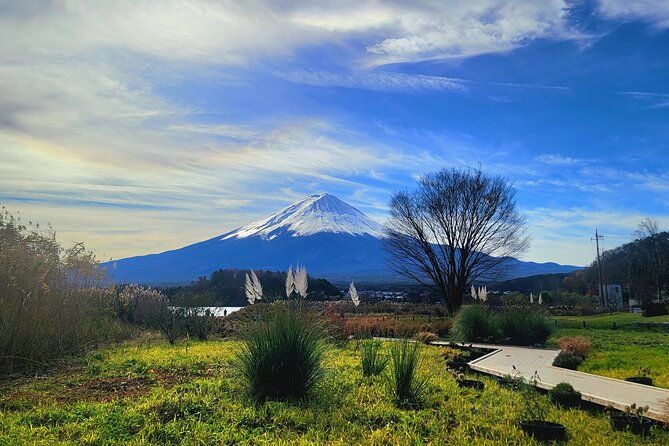 Mount Fuji and Hakone Full Day Private Sightseeing Tour - Itinerary Customization