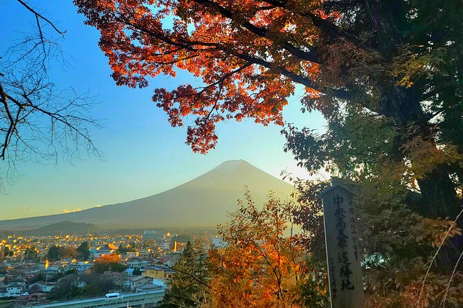 Mount Fuji and Hakone Full Day Private Sightseeing Tour - Inclusion and Costs