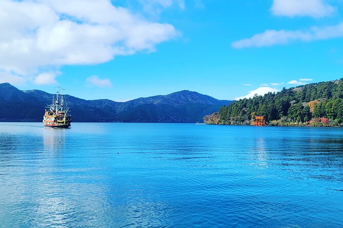 Mount Fuji and Hakone Full Day Private Sightseeing Tour - Traveler Experiences