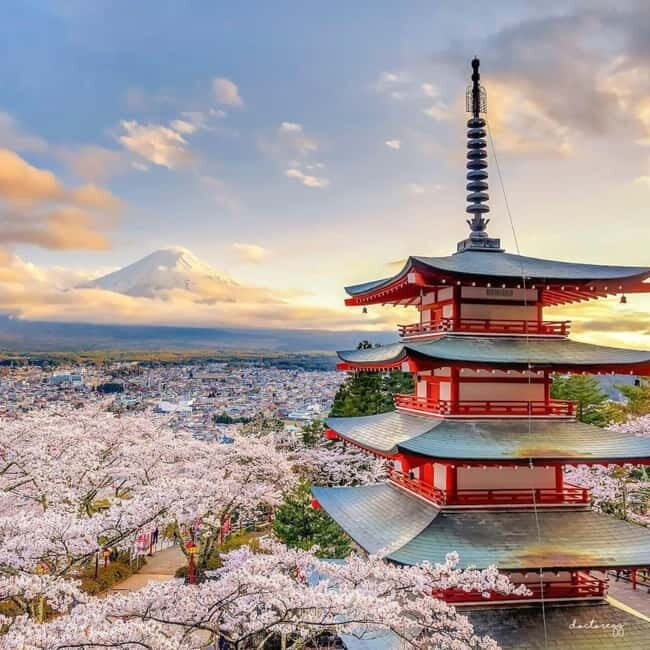 Mount fuji and Hakone full day private tour with English gui - The Sum Up