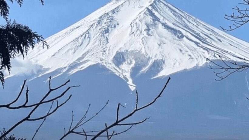Mount fuji and Hakone full day private tour with English gui - FAQ