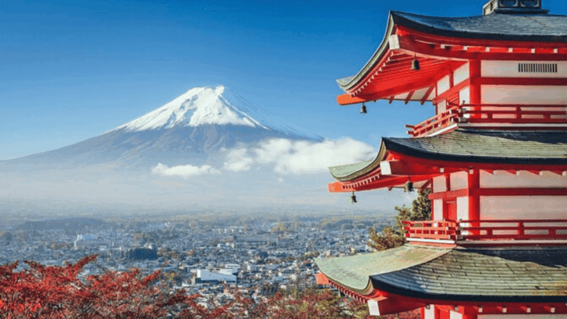 Mount Fuji and Hakone Full Day Private Tour With English Gui - Customer Reviews