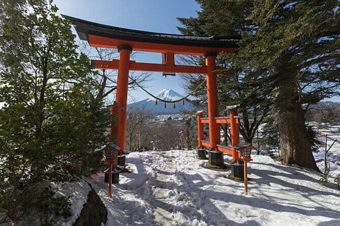 Mount Fuji and Hakone Private Tour with English Speaking Guide - Who Is This Tour Best Suited For?