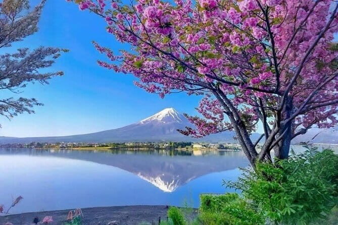 Mount Fuji and Hakone Private Tour with English Speaking Guide - Final Thoughts